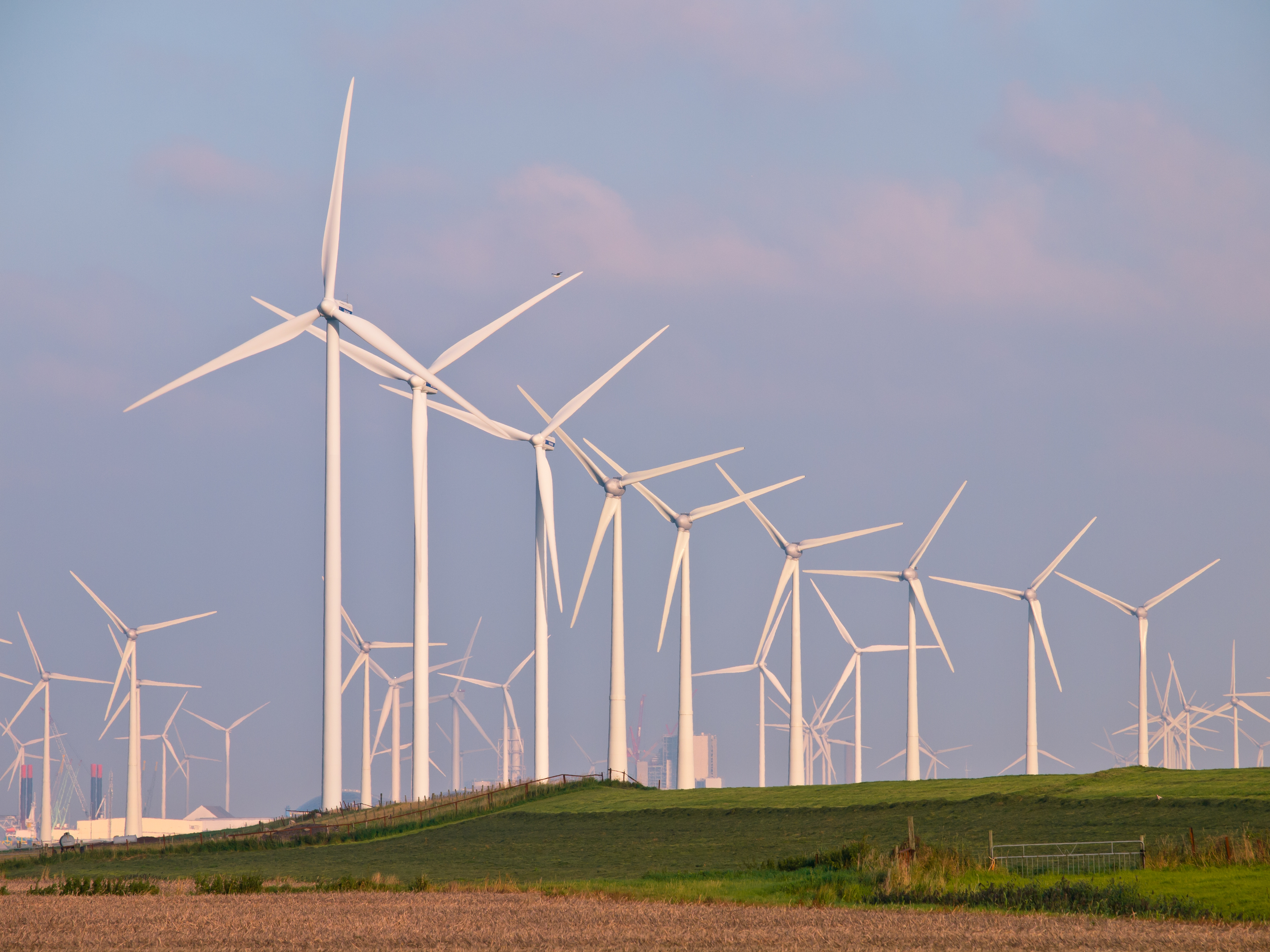 EDF Renewable Energy Acquires Texas Wind Farm | Austin Texas EDF Renewable Energy Acquires Texas Wind Farm | Austin Texas